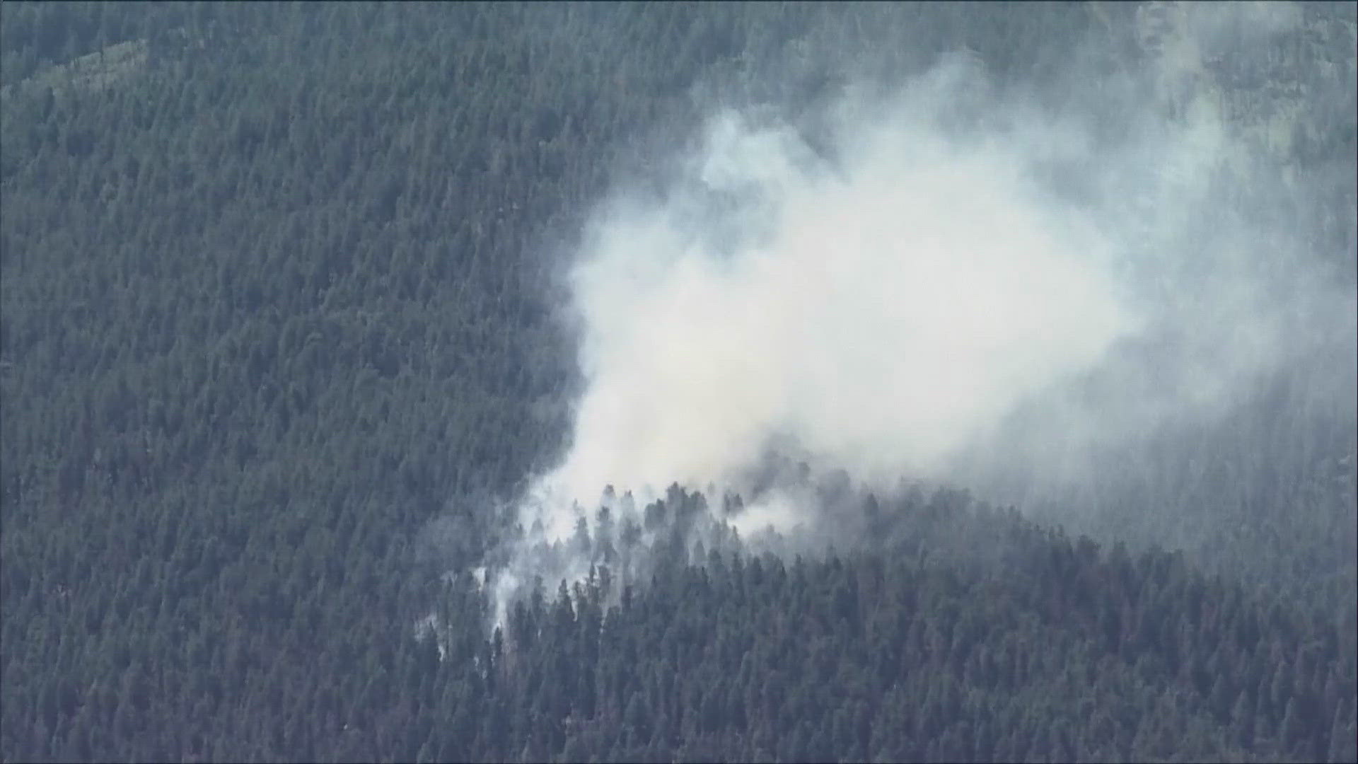 Colorado forest project to help with with post-wildfire recovery ...