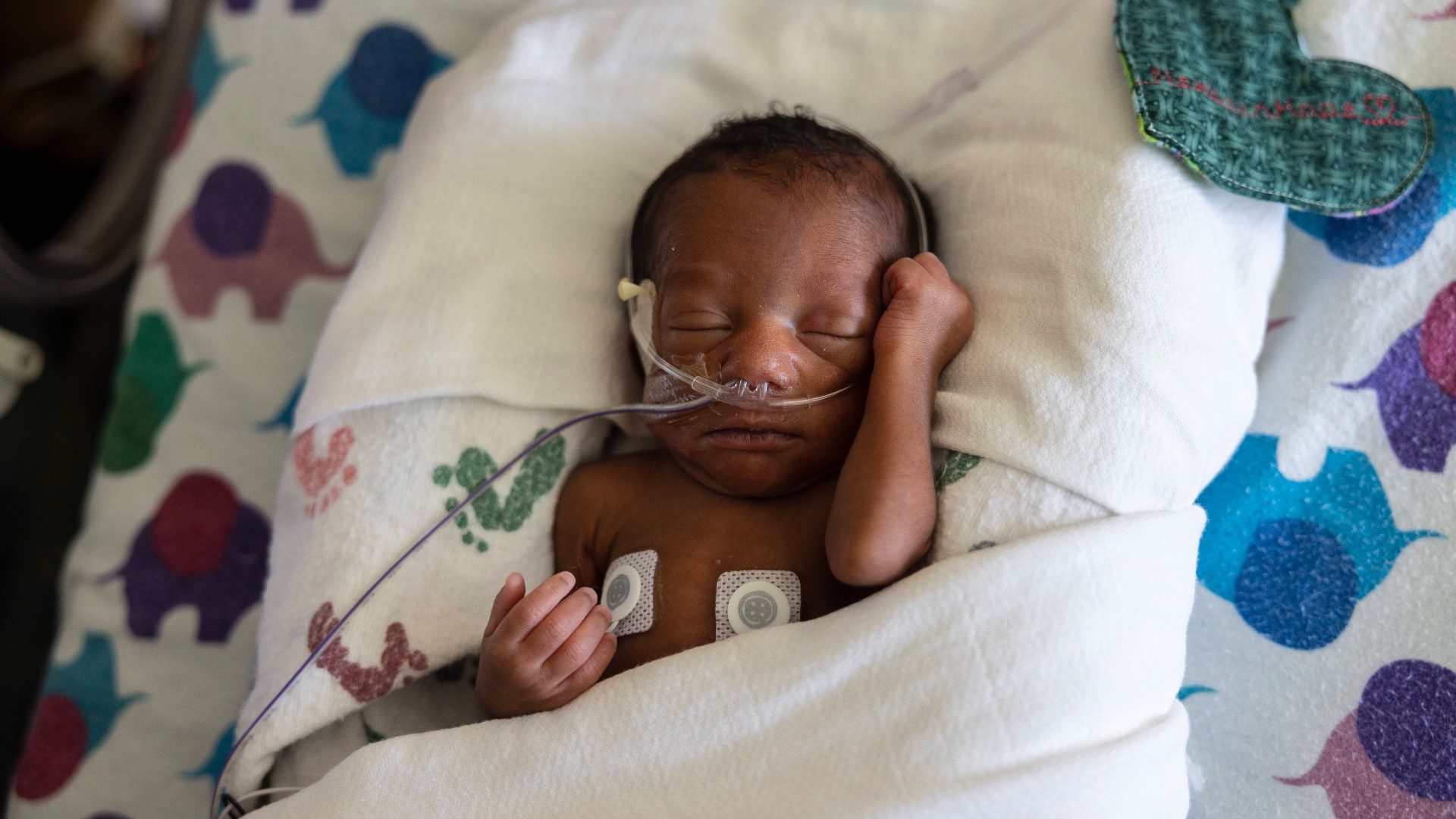 14 twins delivered in Colorado Springs set hospital record | 9news.com