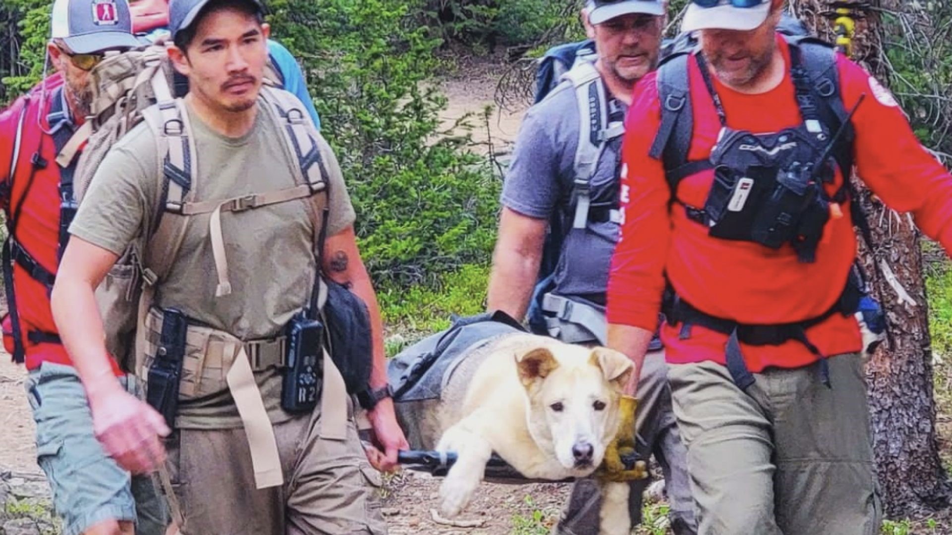 Summit County Rescue tips for hiking with pets | 9news.com