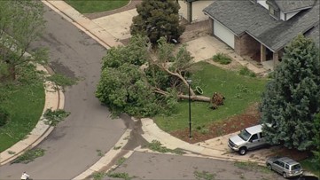 Tornado causes damage in Highlands Ranch, Colorado | 9news.com