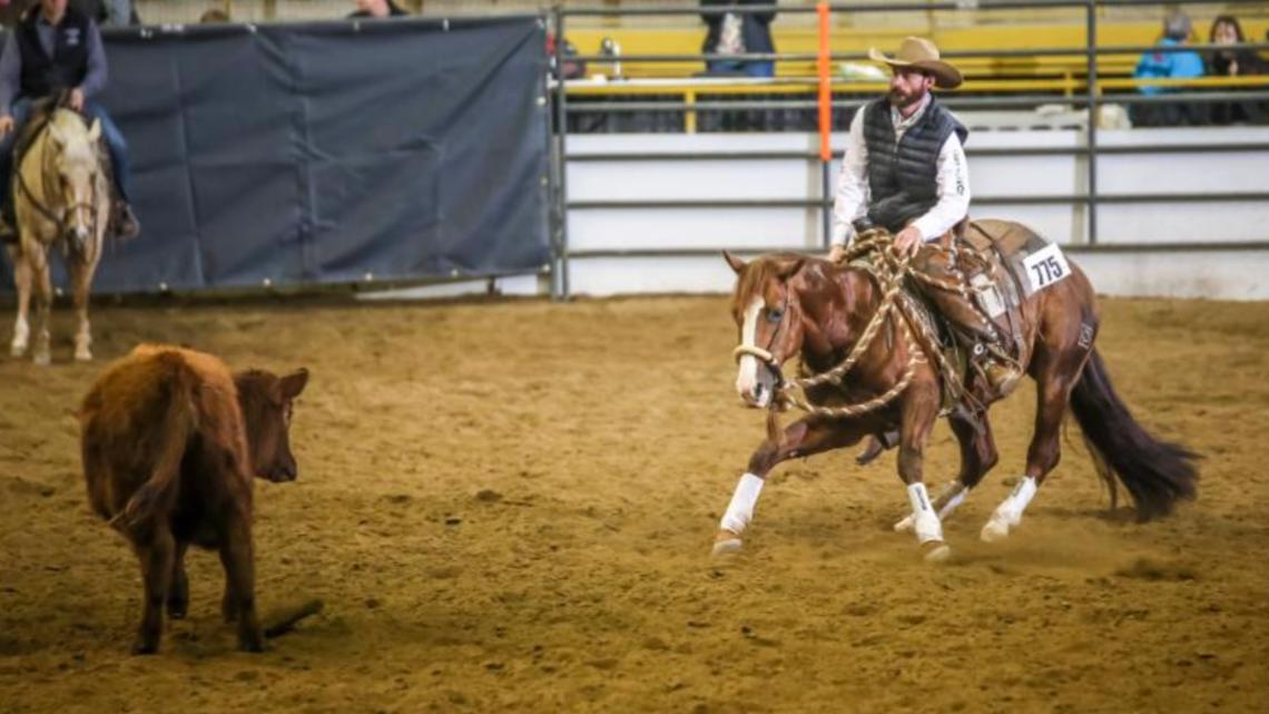 National Western Stock Show to debut elite horse sale in 2023 | 9news.com