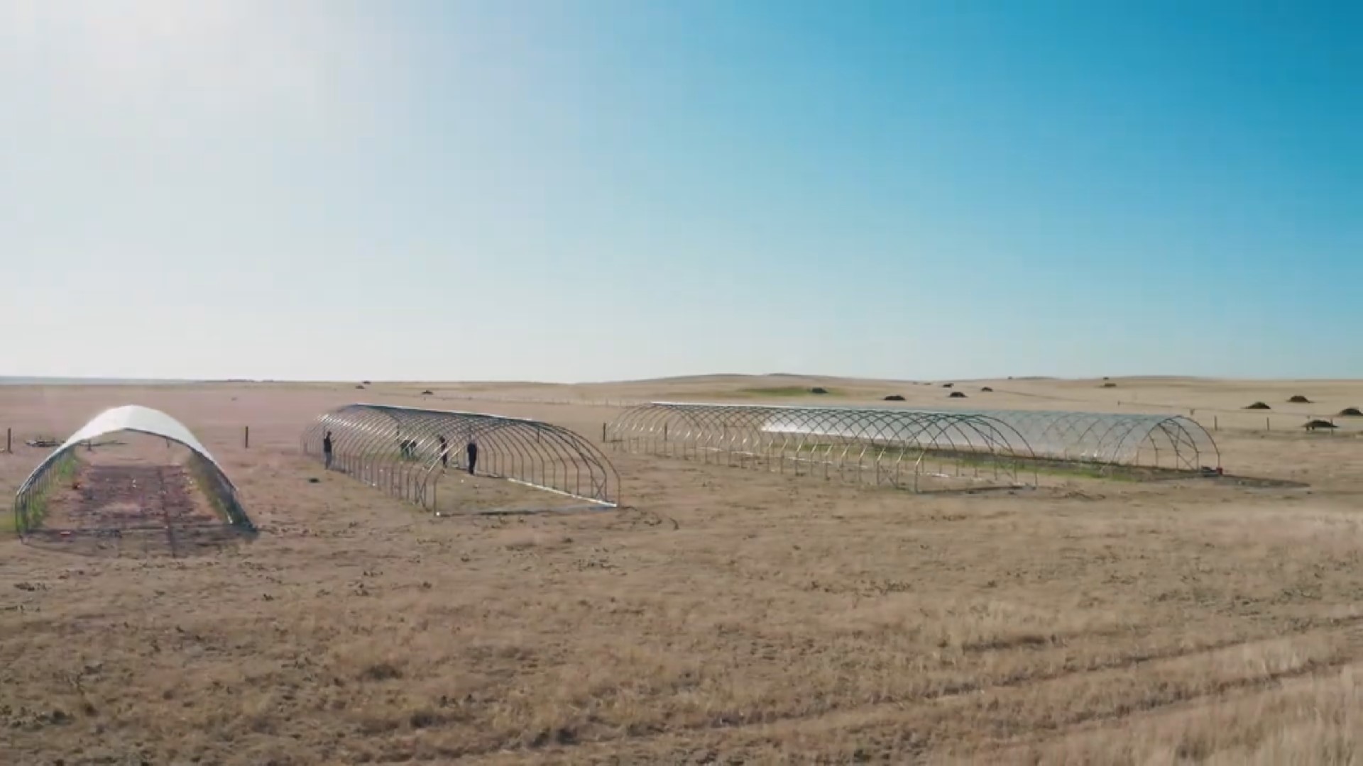 Artificial drought study reveals impact on grasslands | 9news.com
