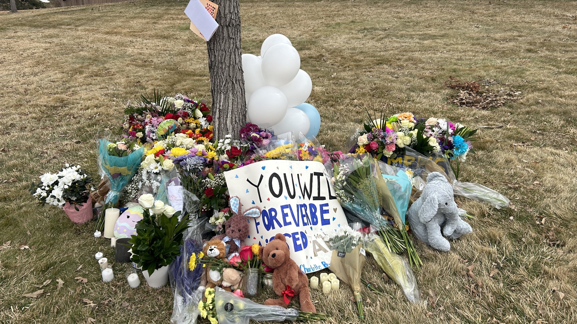 Boy, 13, killed in Highlands Ranch crash | 9news.com