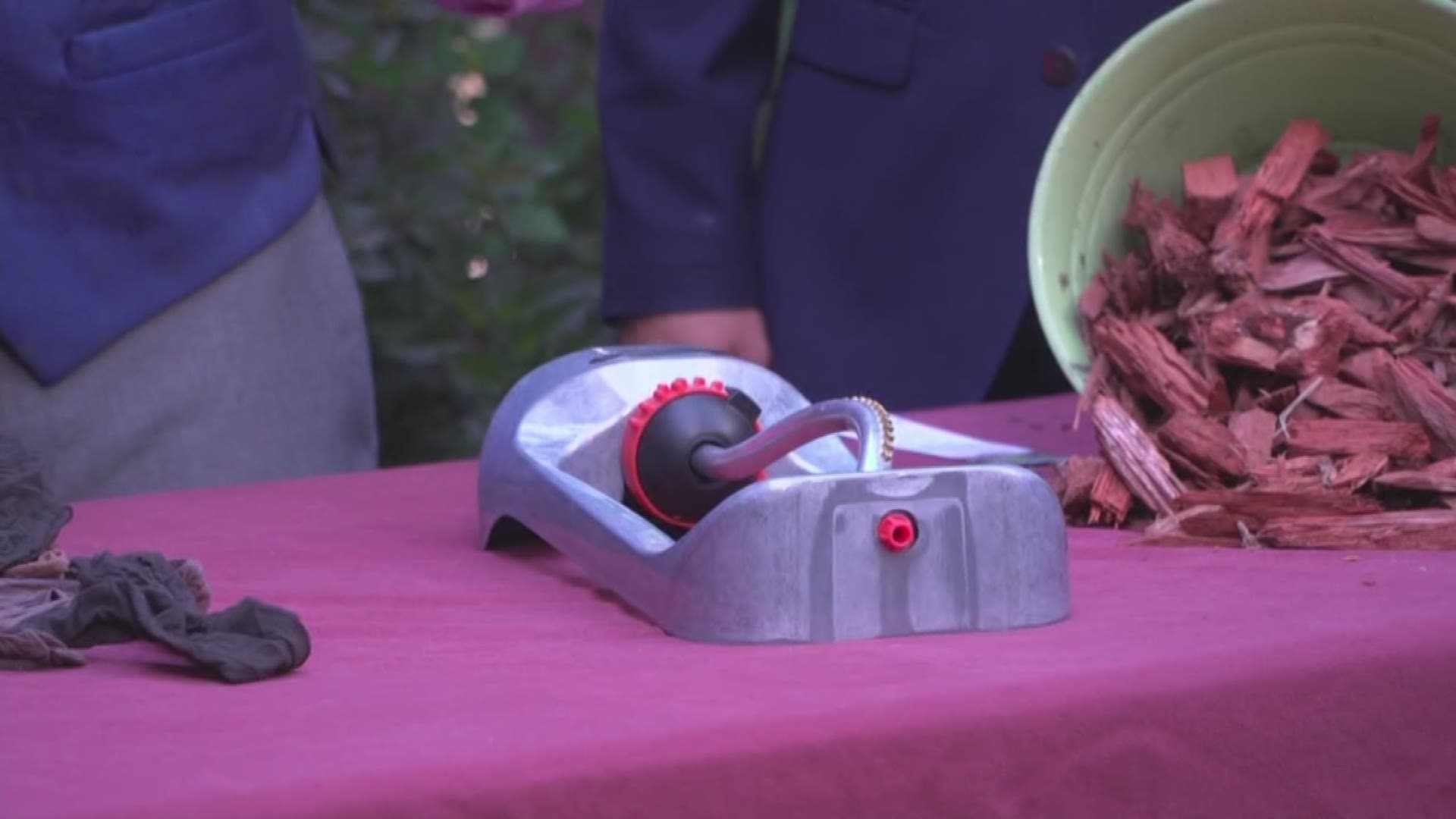 Another round of garden myth busting with Rob Proctor | 9news.com