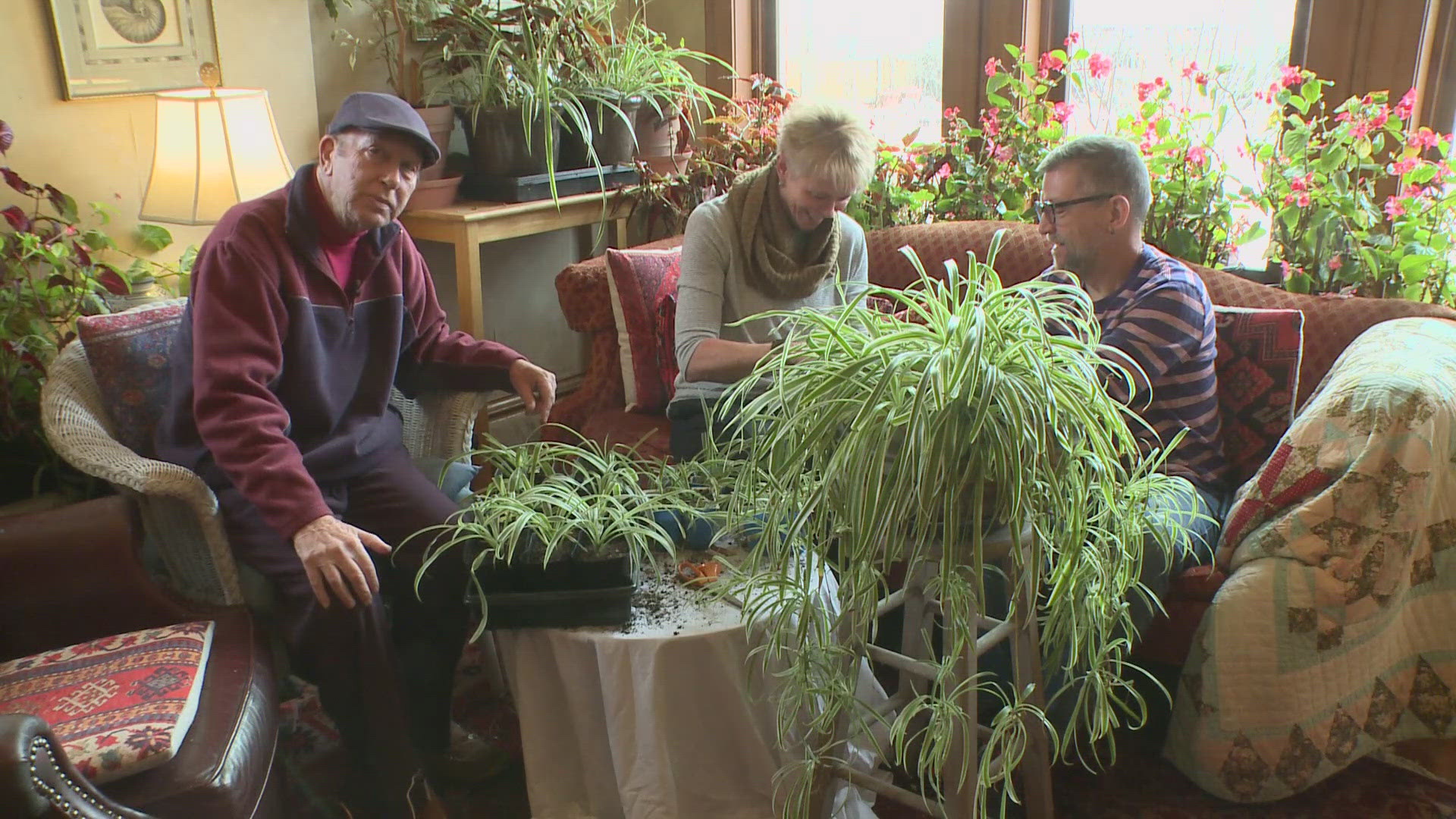 Sports betting roundup: Seahawks favored to beat the Patriots in Super ...