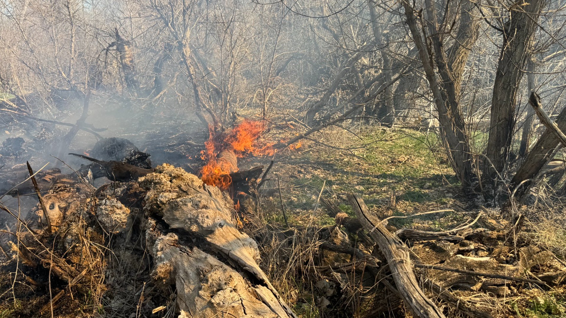 Crews extinguish several small fires on Lakewood golf course | 9news.com