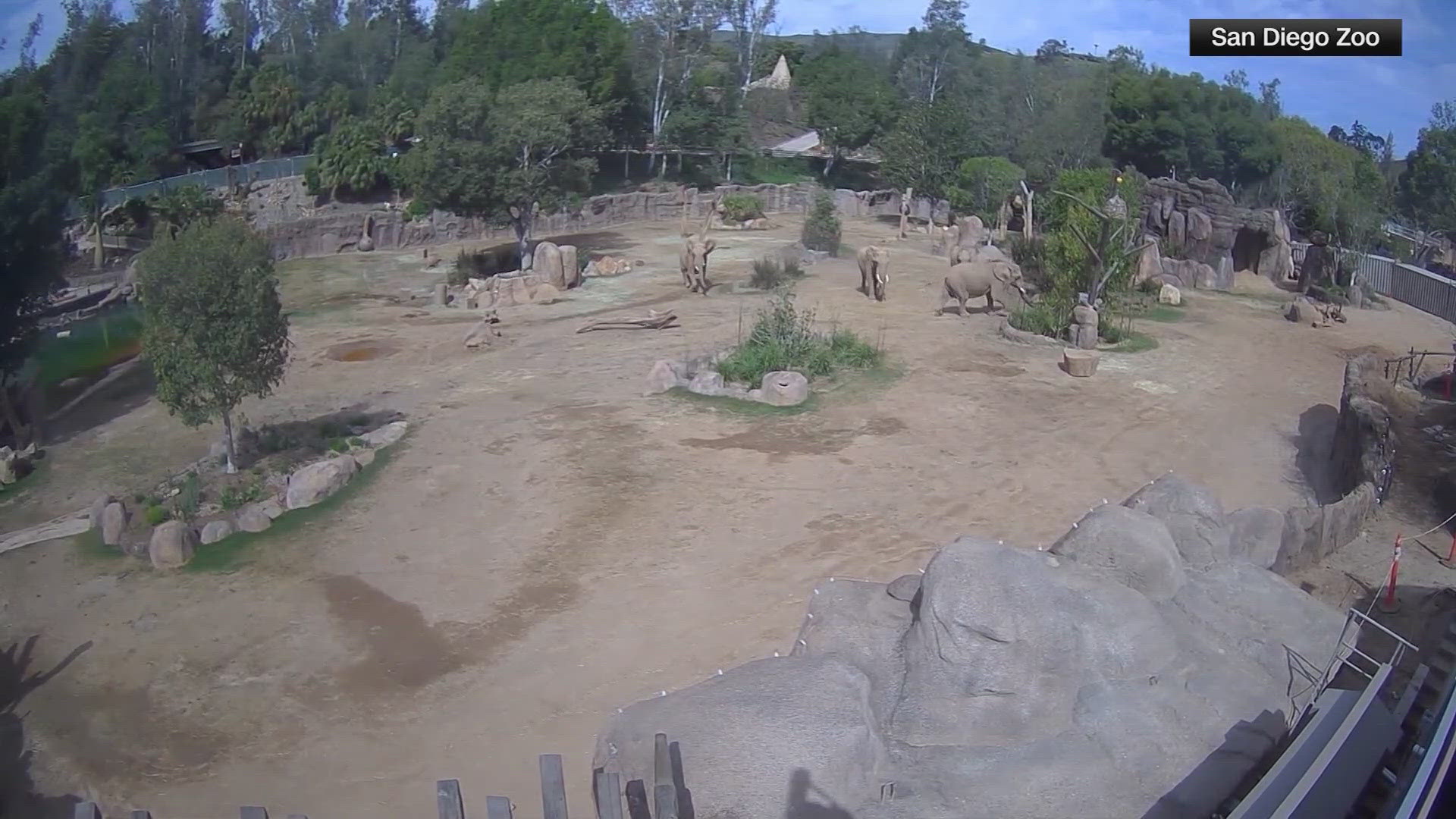 Earthquake rumbles Southern California | 9news.com