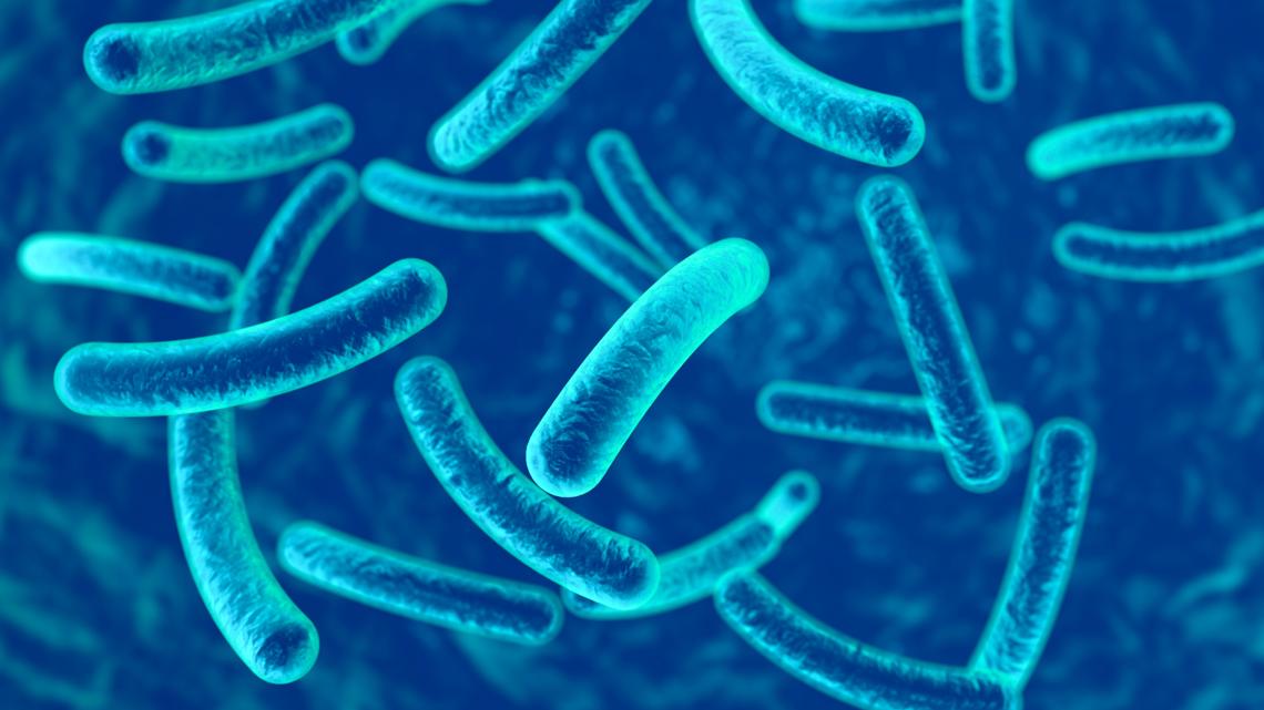 Health expert discusses the increase in ‘nightmare bacteria’ infections ...