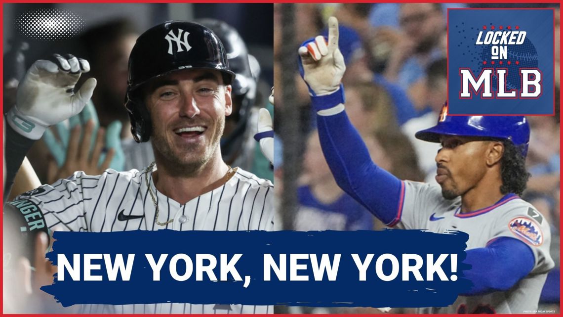 Sully Told New York Fans Not To Panic | 9news.com