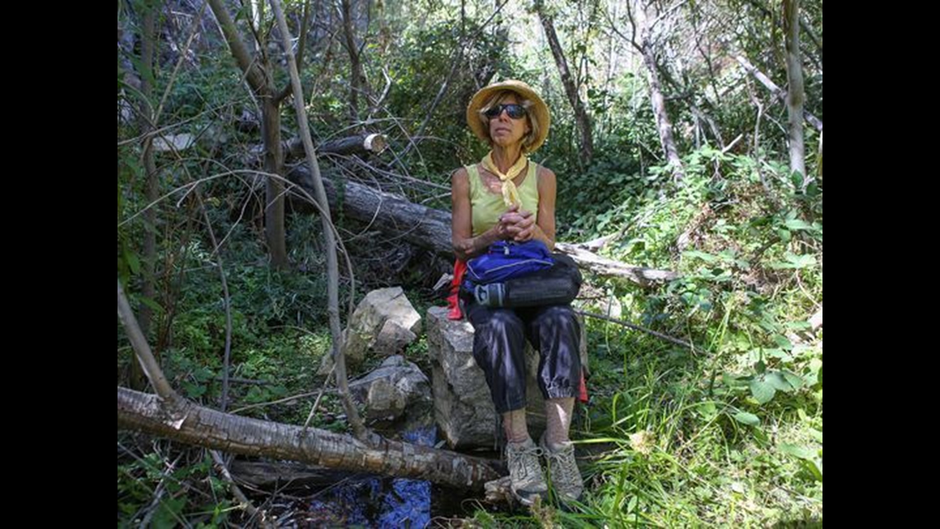 Nestlé appears to be taking too much water from California forest ...