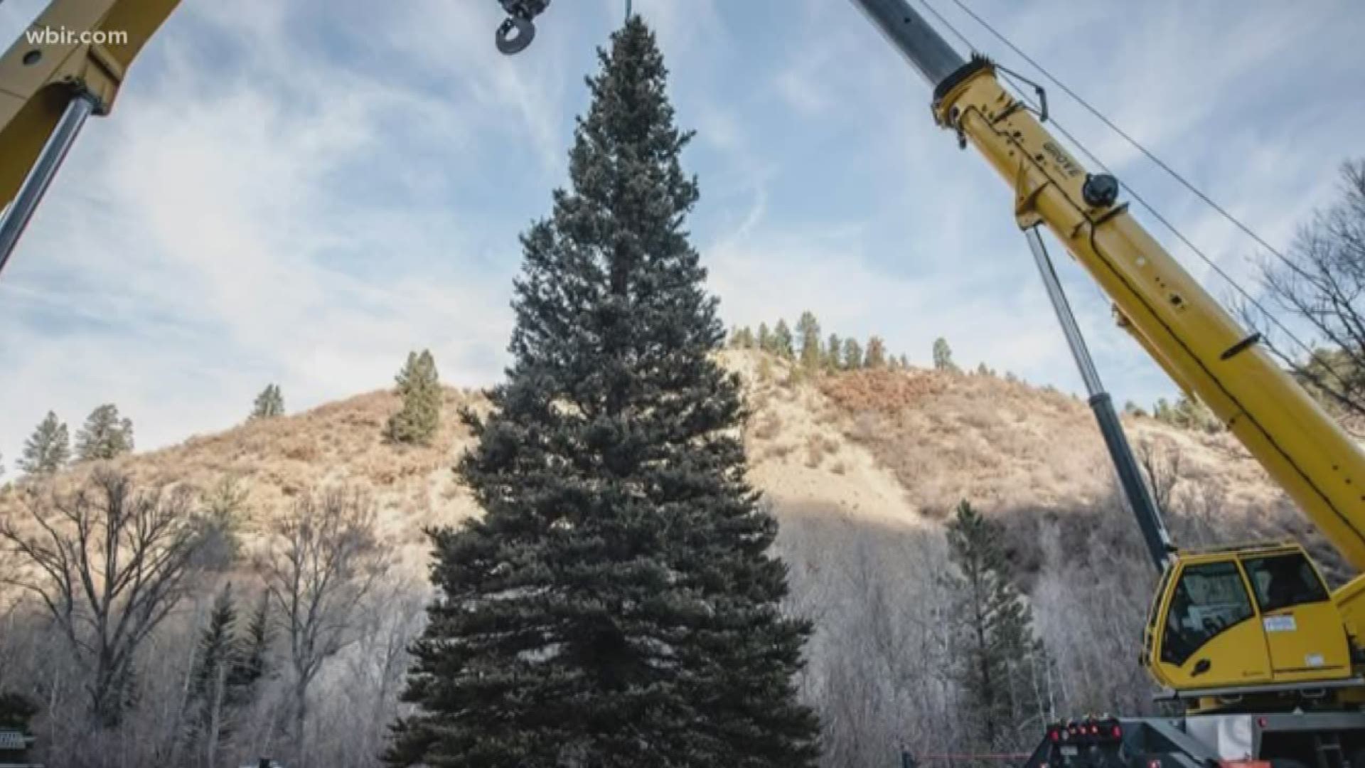 Holiday Guide: Celebrating the 2019 holiday season in Colorado | 9news.com
