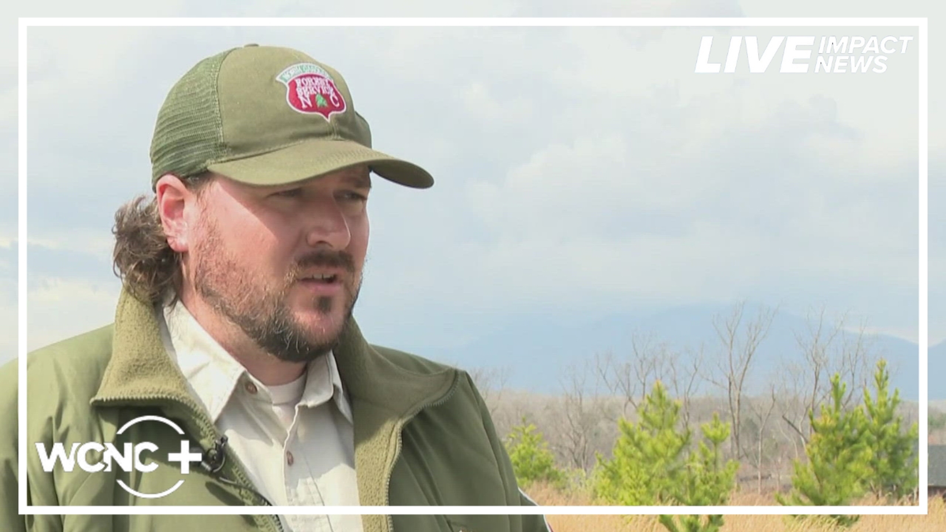 State of emergency expanded as western NC wildfires grow larger | 9news.com