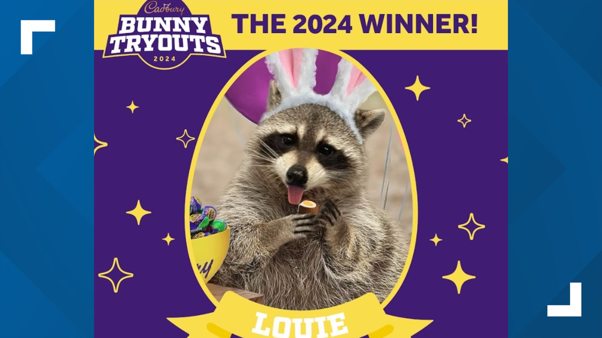 Meet the winner of Hershey's annual Cadbury Bunny Tryouts | 9news.com