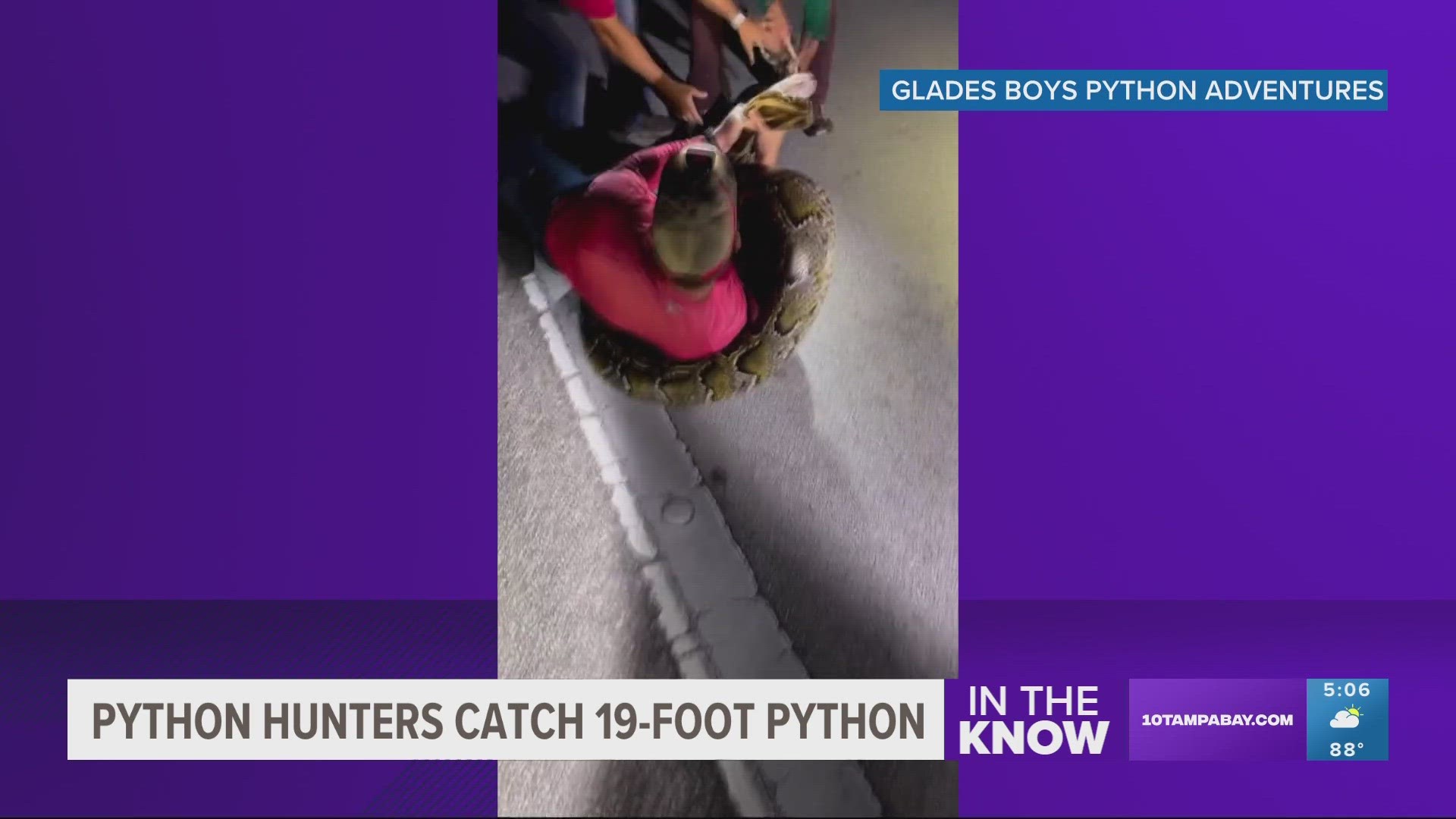 Longest-ever captured python recorded in Southwest Florida | 9news.com