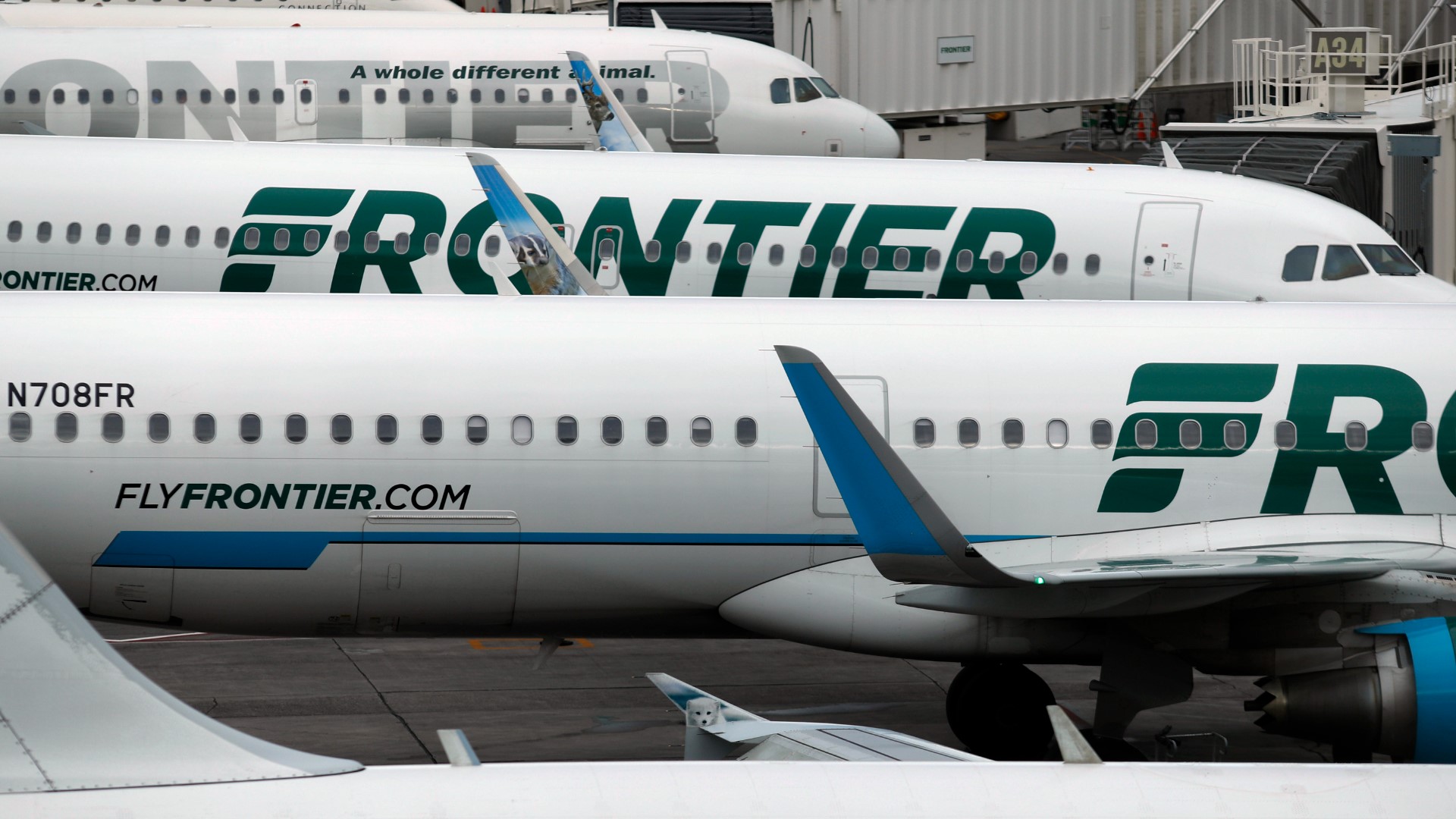 Frontier Airlines to merge with Spirit in $6.6 billion deal | 9news.com