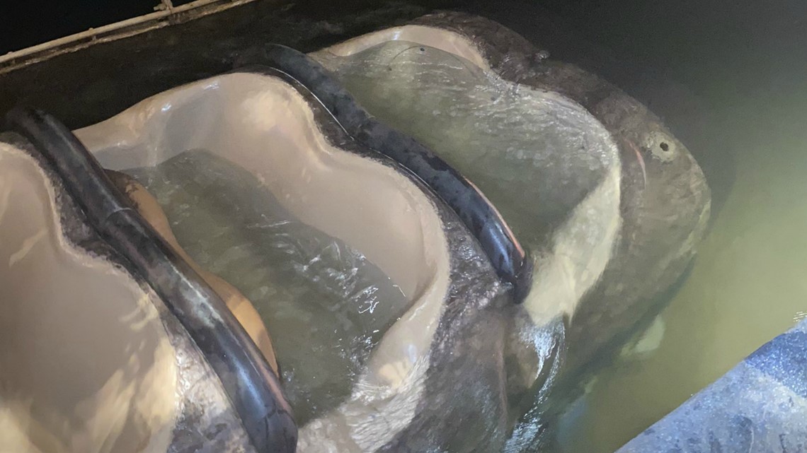 Splash Mountain boat sinks during ride at Walt Disney World | 9news.com