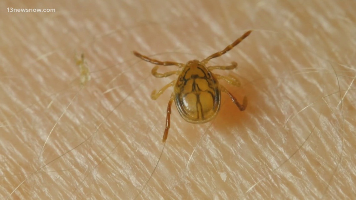Emergency room visits for tick bites are at the highest weekly rates in ...