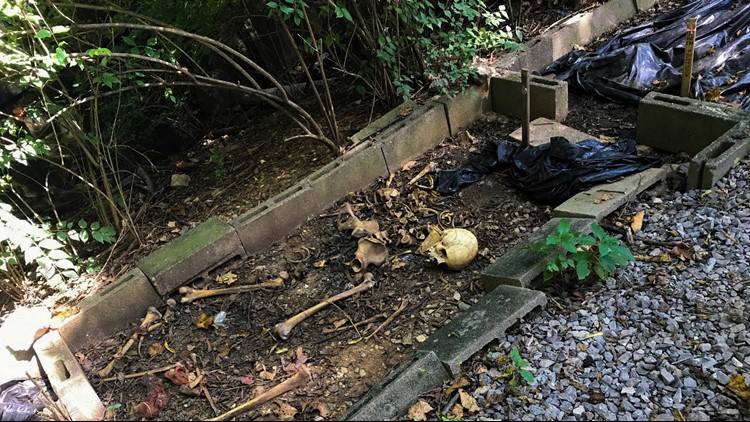 Inside The Body Farm: The dead do speak | 9news.com